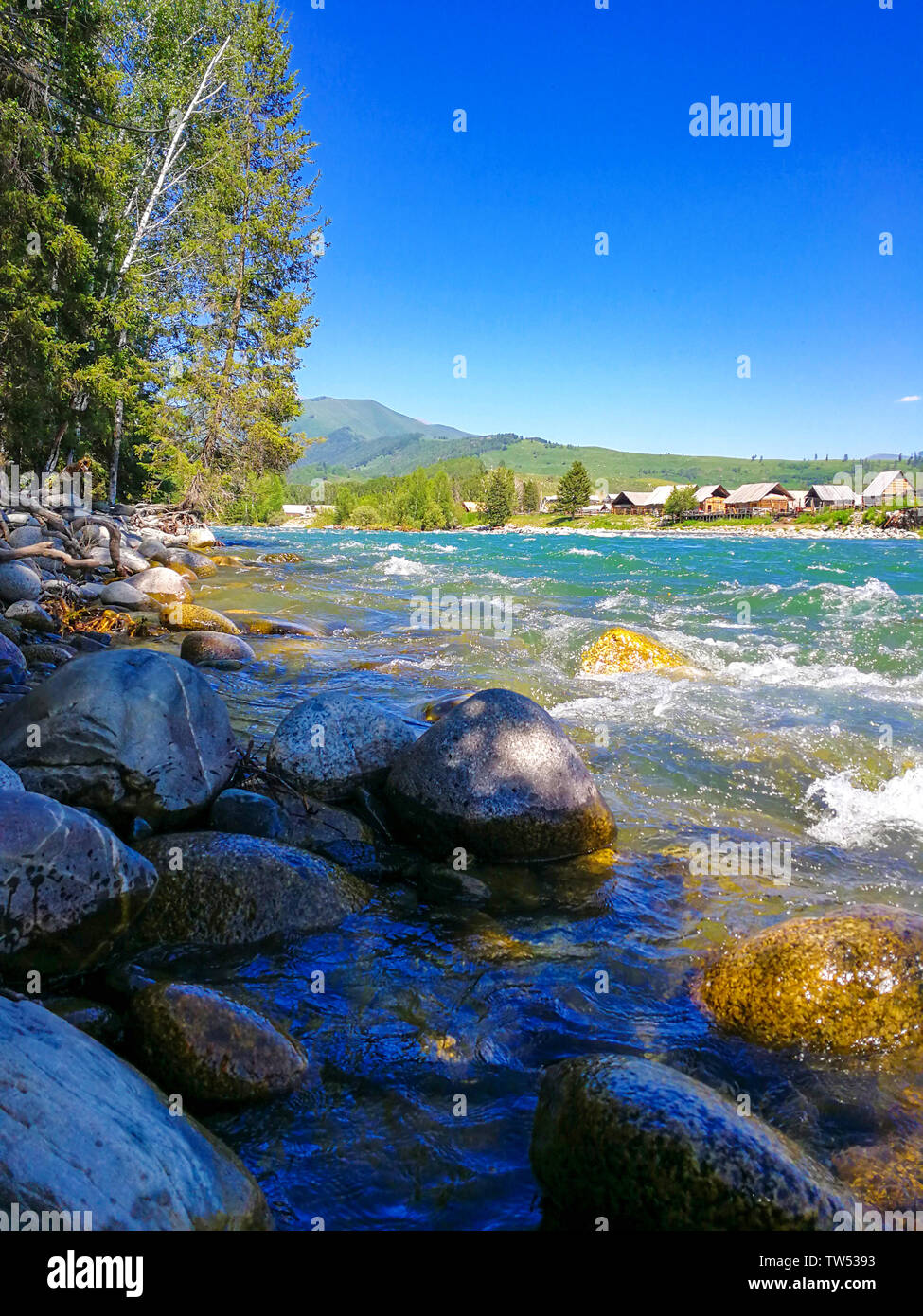 China xinjiang uygur autonomous region forest hi-res stock photography ...