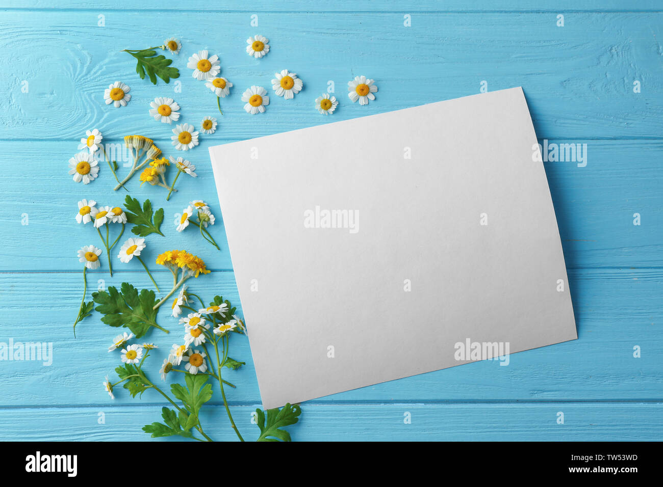 Blank sheet of paper with beautiful chamomile flowers on wooden ...