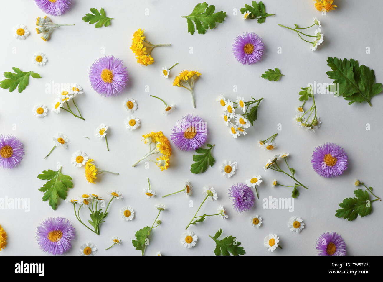 Scattered field hi-res stock photography and images - Alamy