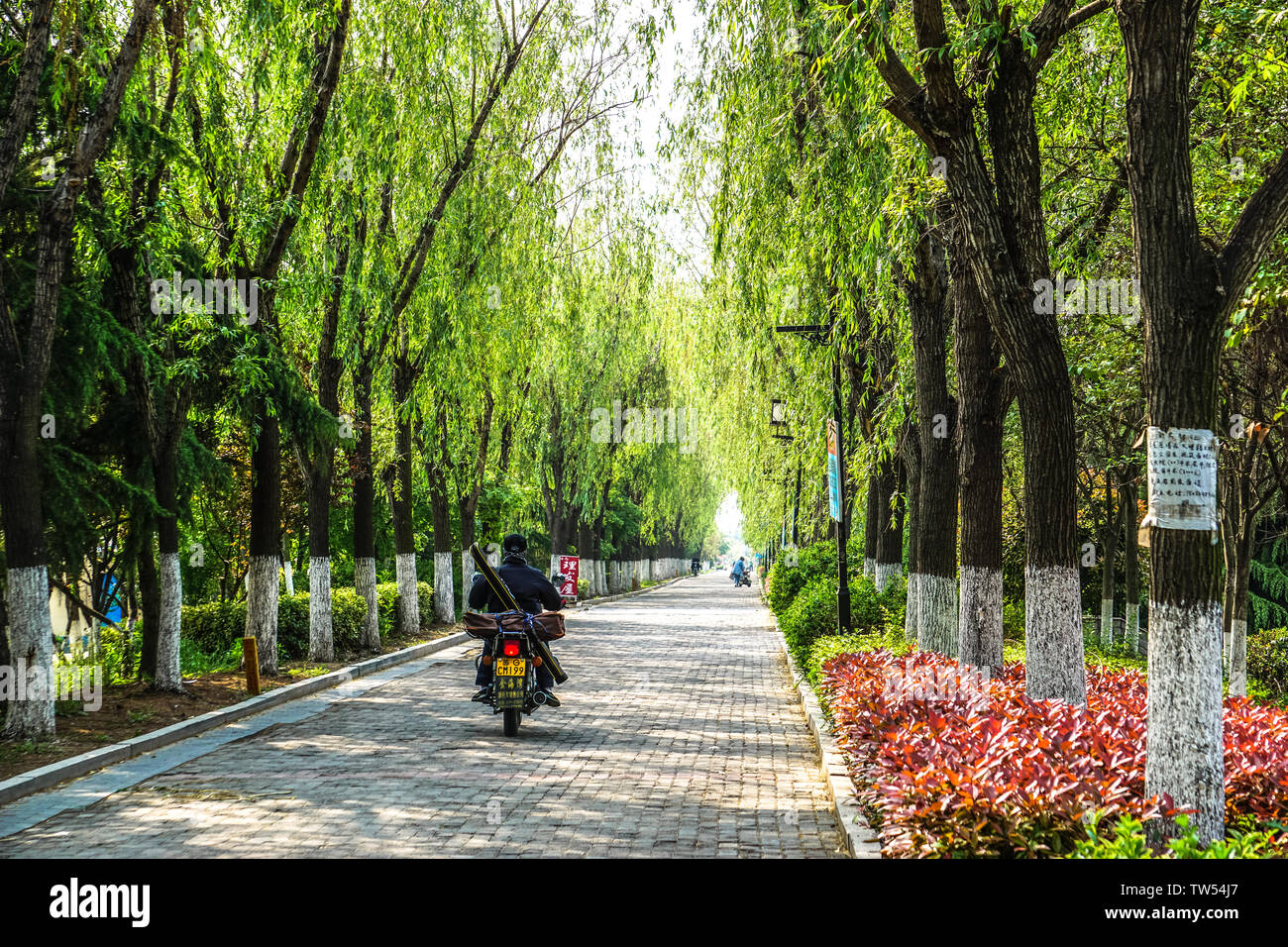 Qingkou Ecological Park, Qingkou Town, Ganyu County Stock Photo - Alamy