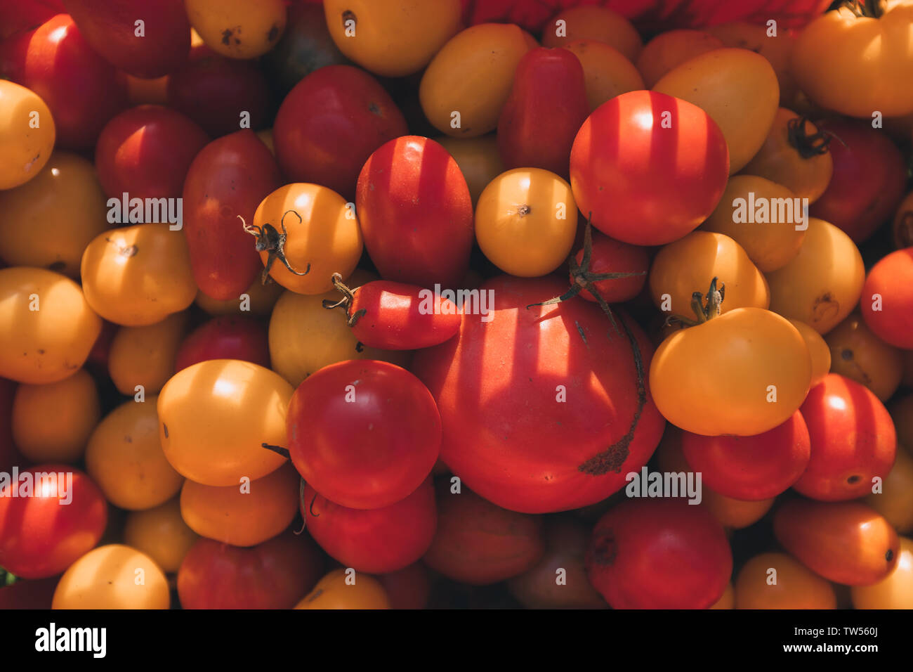 Crop contrast hi-res stock photography and images - Alamy
