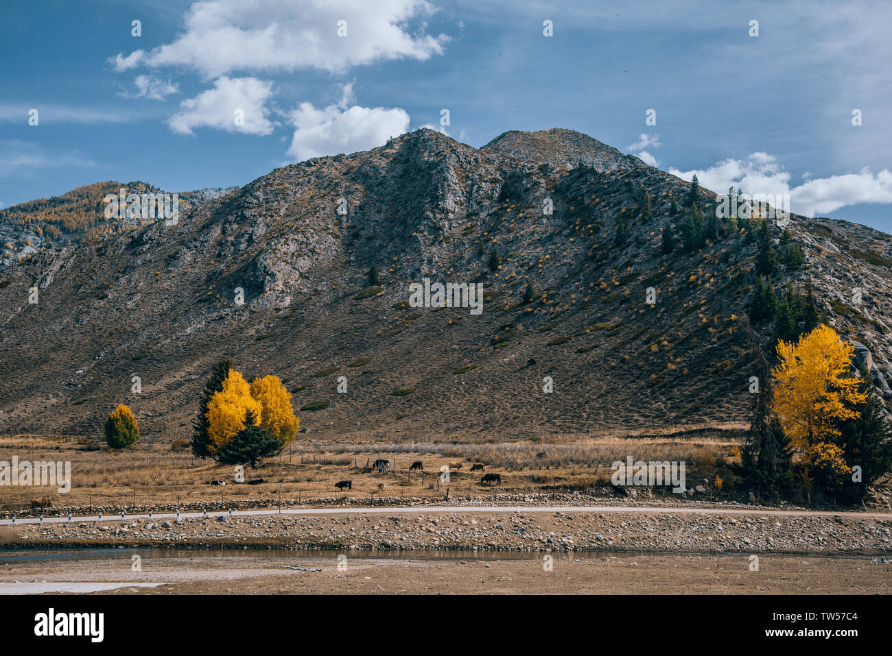 The natural scenery of the Kokoto Sea wild Stock Photo - Alamy