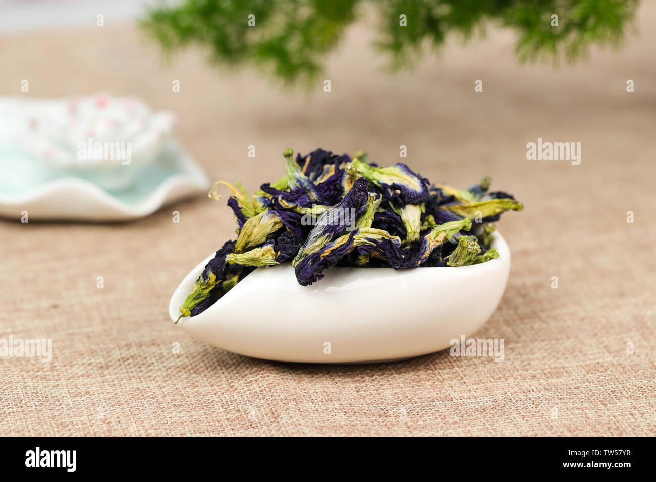 Butterfly bean flower dried flower tea Stock Photo - Alamy