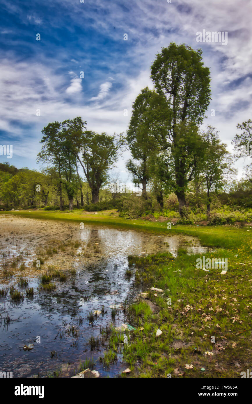 Landscape with small lake Stock Photo - Alamy
