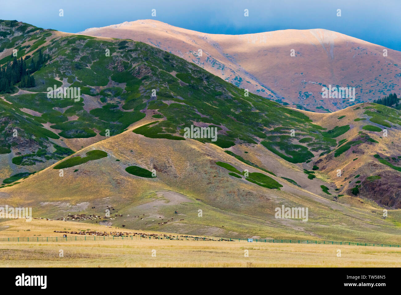 China xinjiang tianshan mountains hi-res stock photography and images ...