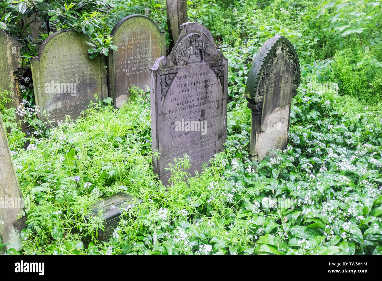 St James Gardens,graveyard,cemetery,gravestones,Anglican Cathedral ...