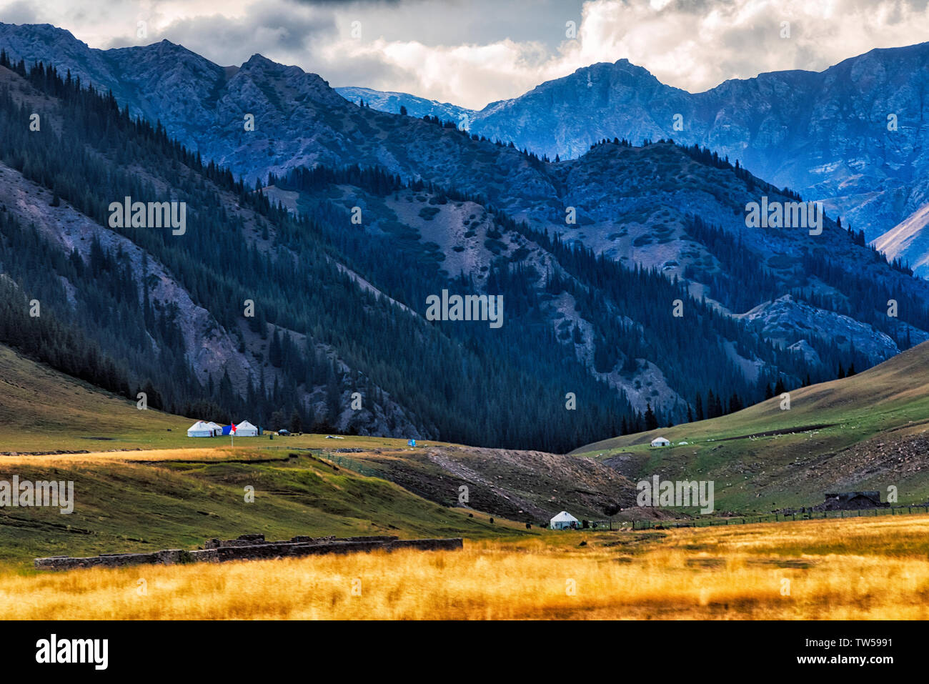 Yurts in Mt. Tianshan (Heavenly Mountain), Sayram Lake, Yining (Ghulja ...