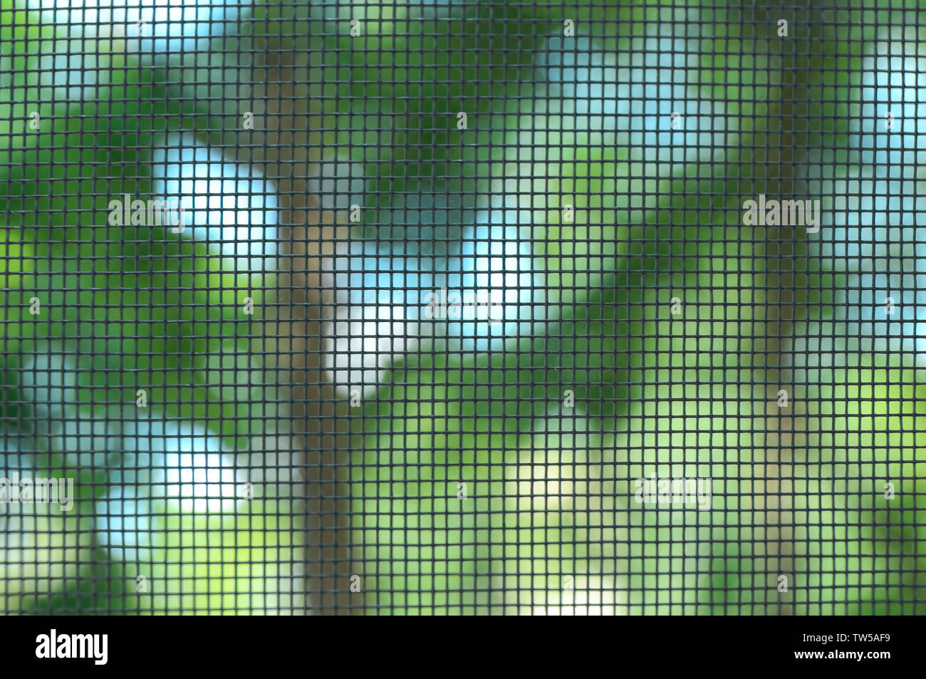 Mosquito screen, close up Stock Photo - Alamy