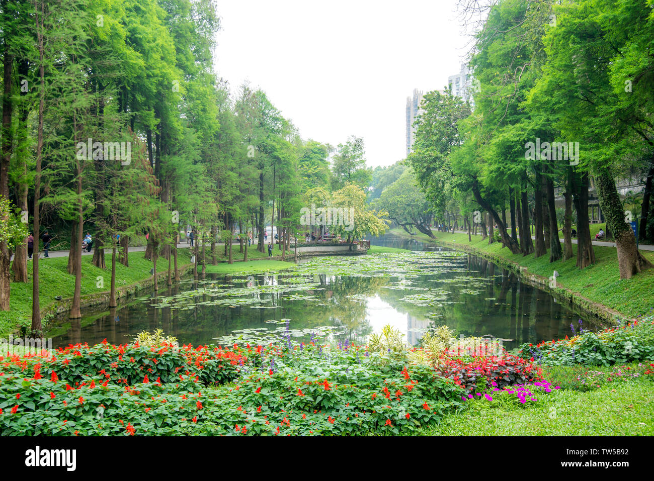 Guangzhou yuexiu park hi-res stock photography and images - Alamy