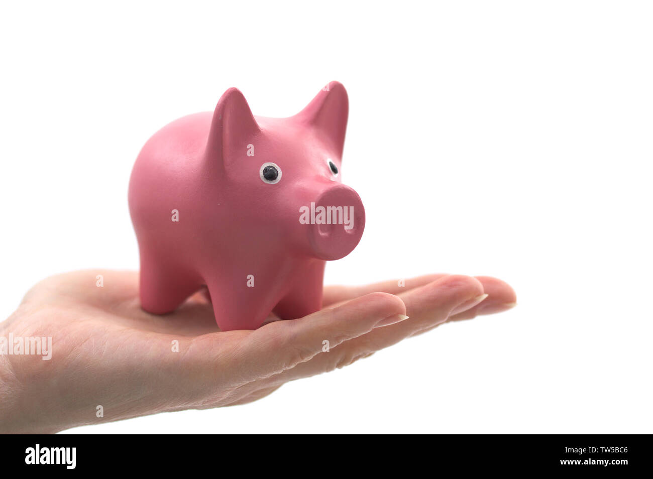 Savings concept: a pig-shaped piggy bank in the hand of a person with ...