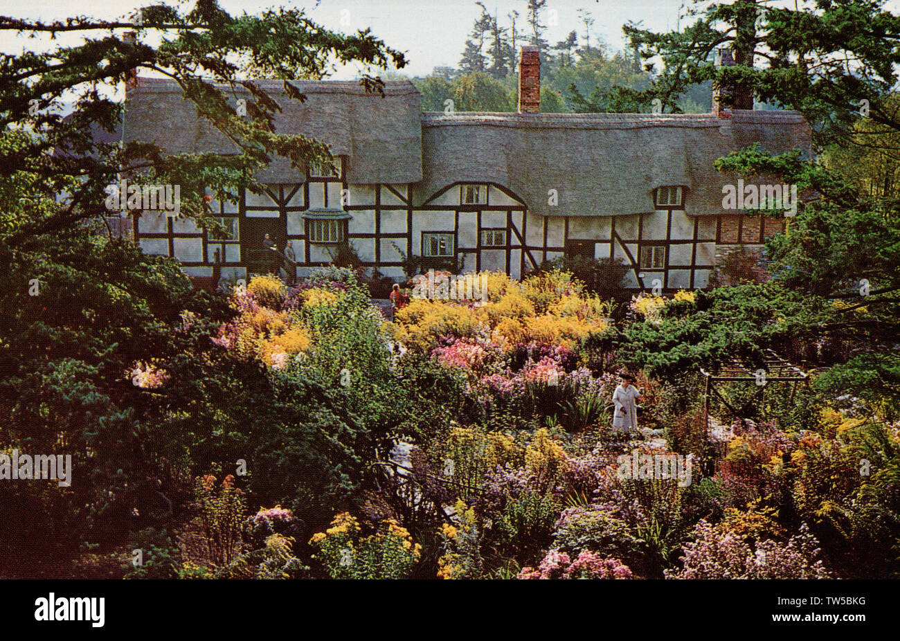 Vintage Cottage Postcard High Resolution Stock Photography and Images ...