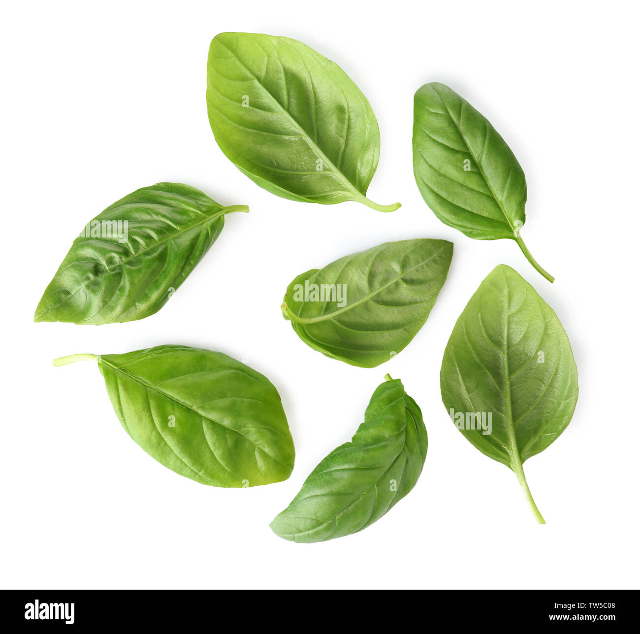 Green fresh organic basil leaves isolated on white Stock Photo - Alamy