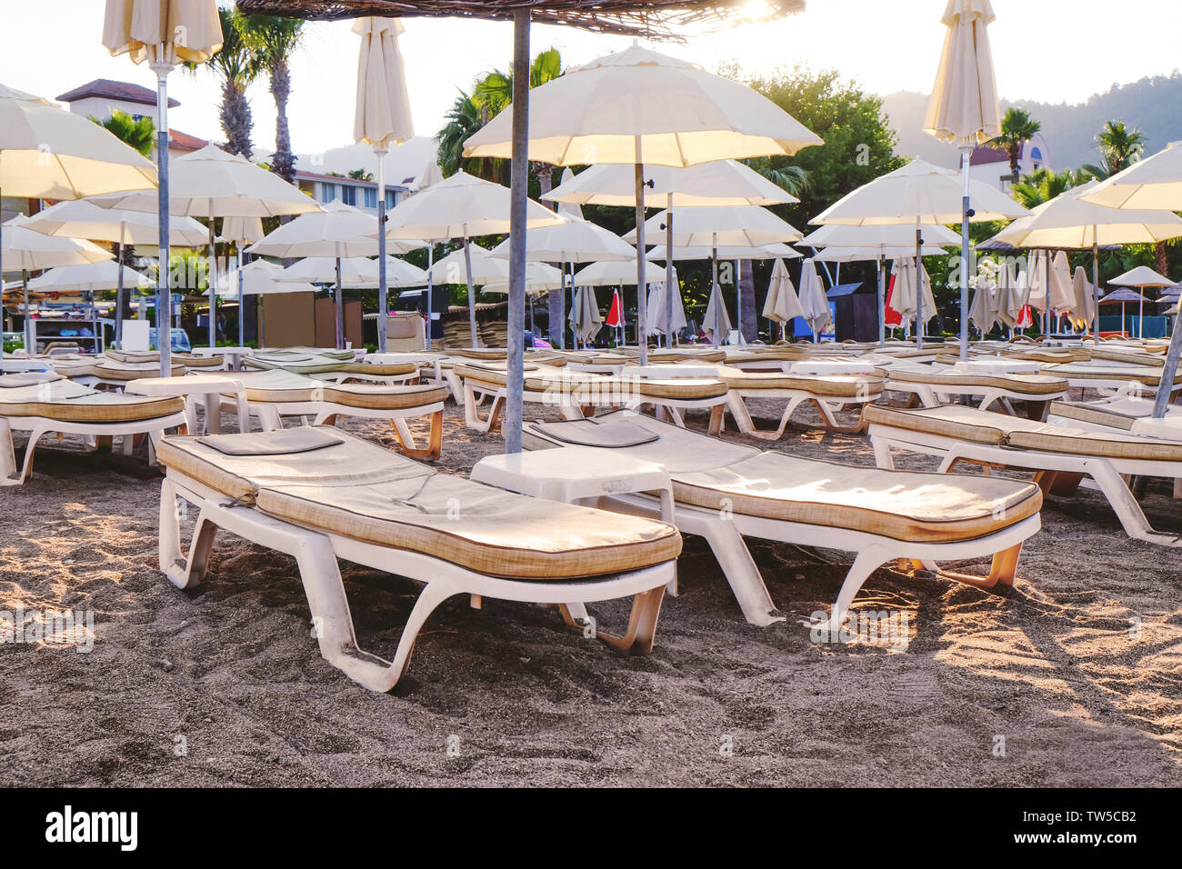 Empty sunbeds on beach Stock Photo - Alamy