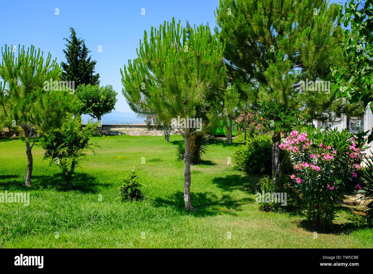 Landscape design with beautiful plants at resort Stock Photo - Alamy