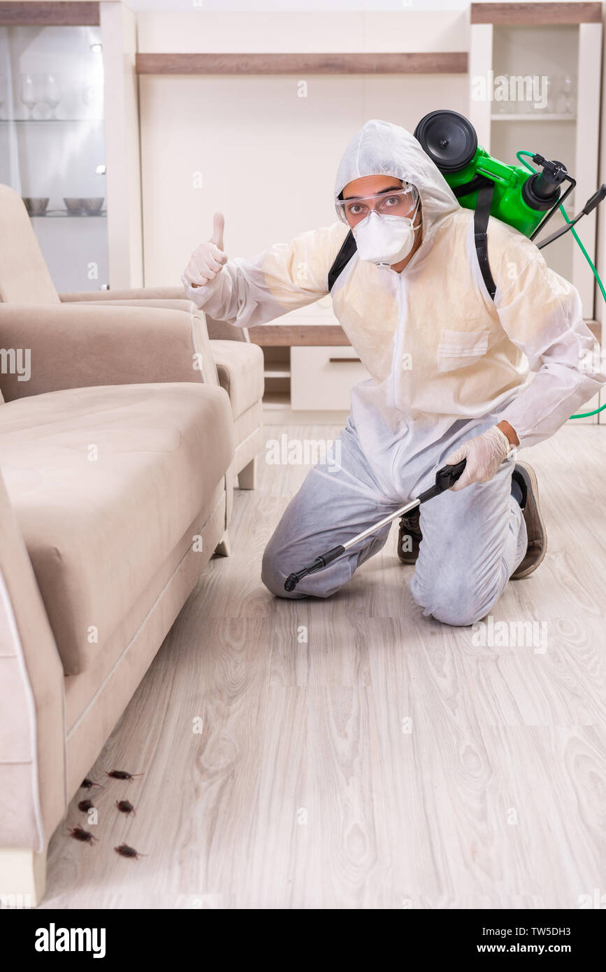 Pest control contractor working in the flat Stock Photo - Alamy