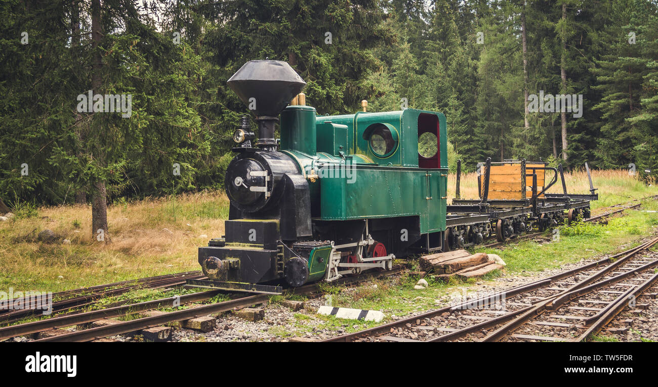 Beautiful Old Steam Locomotive in the Forest Stock Photo - Alamy