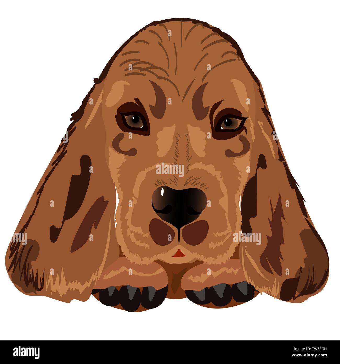 Red dog portrait Stock Vector Images - Alamy