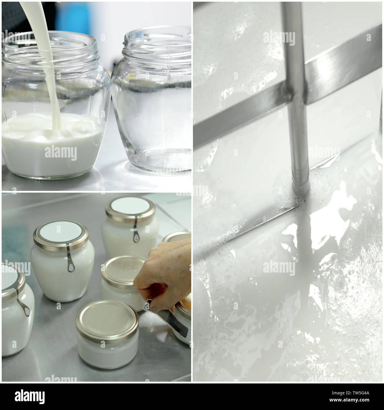 Collage with cheese manufacturing process Stock Photo - Alamy