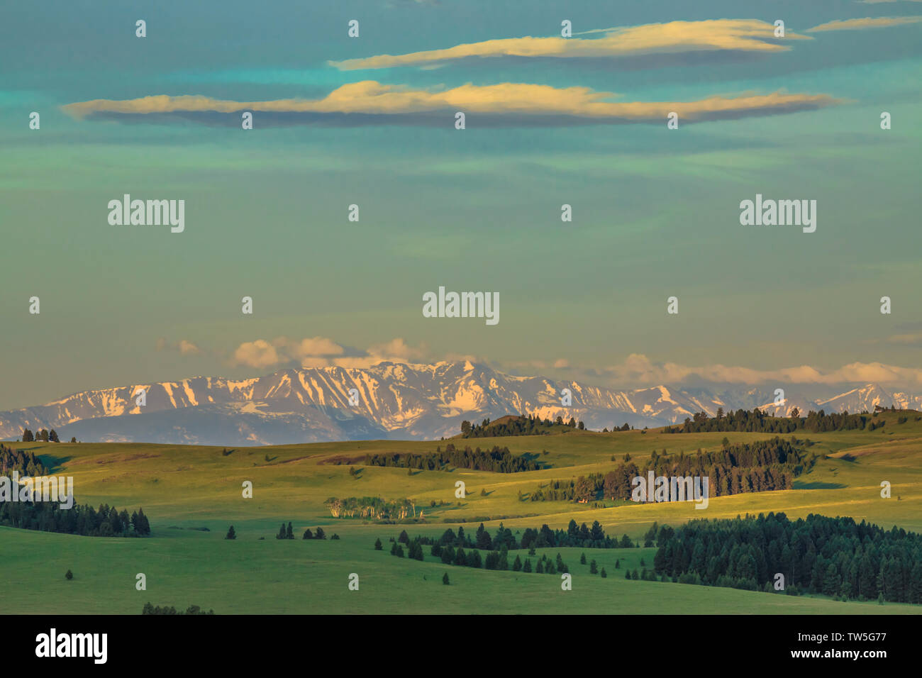 anaconda range above upland meadows in the spotted dog creek basin near ...