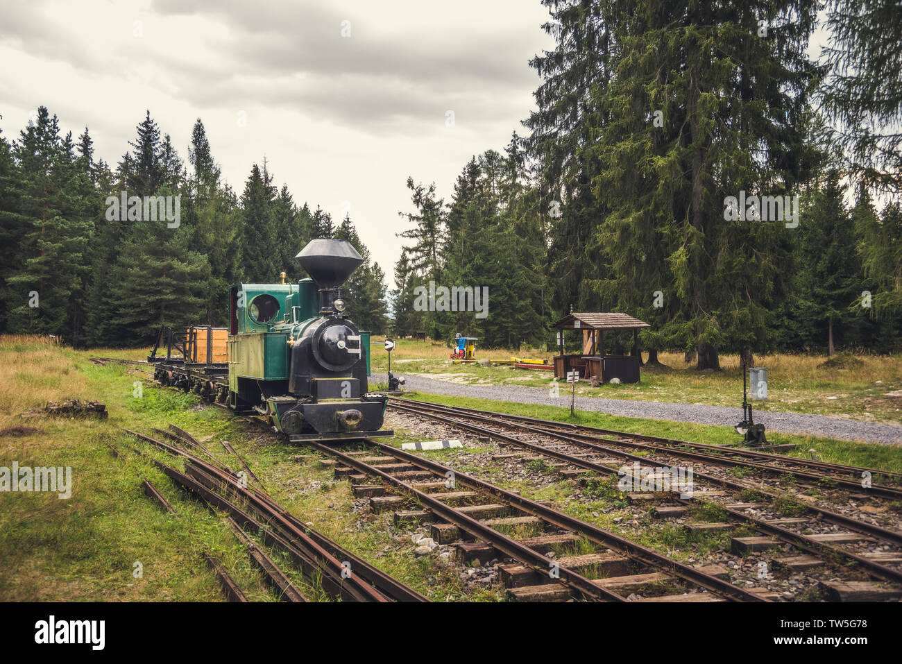 Beautiful Old Steam Locomotive in the Forest Stock Photo - Alamy
