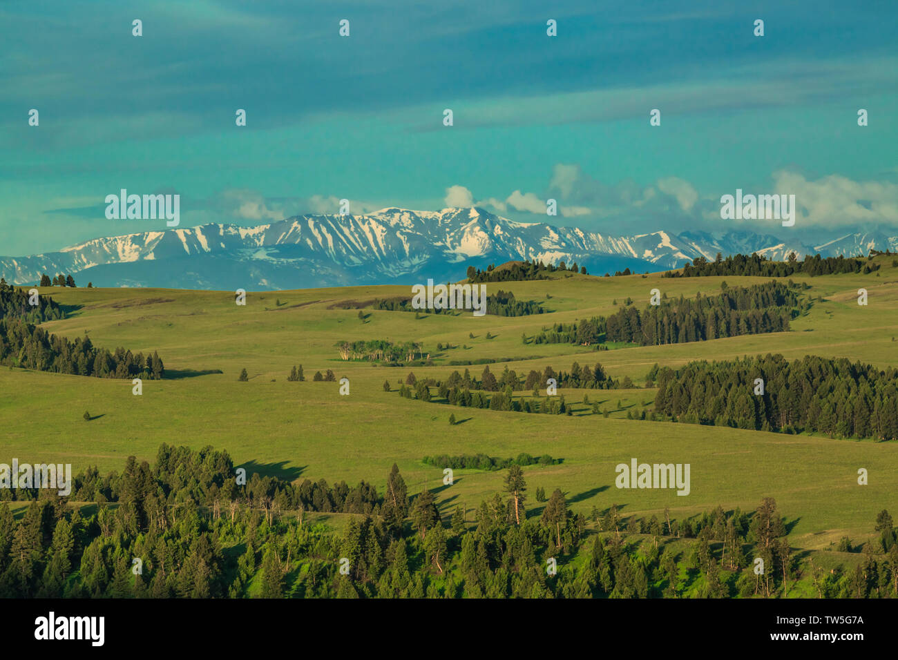 Anaconda range hi-res stock photography and images - Alamy