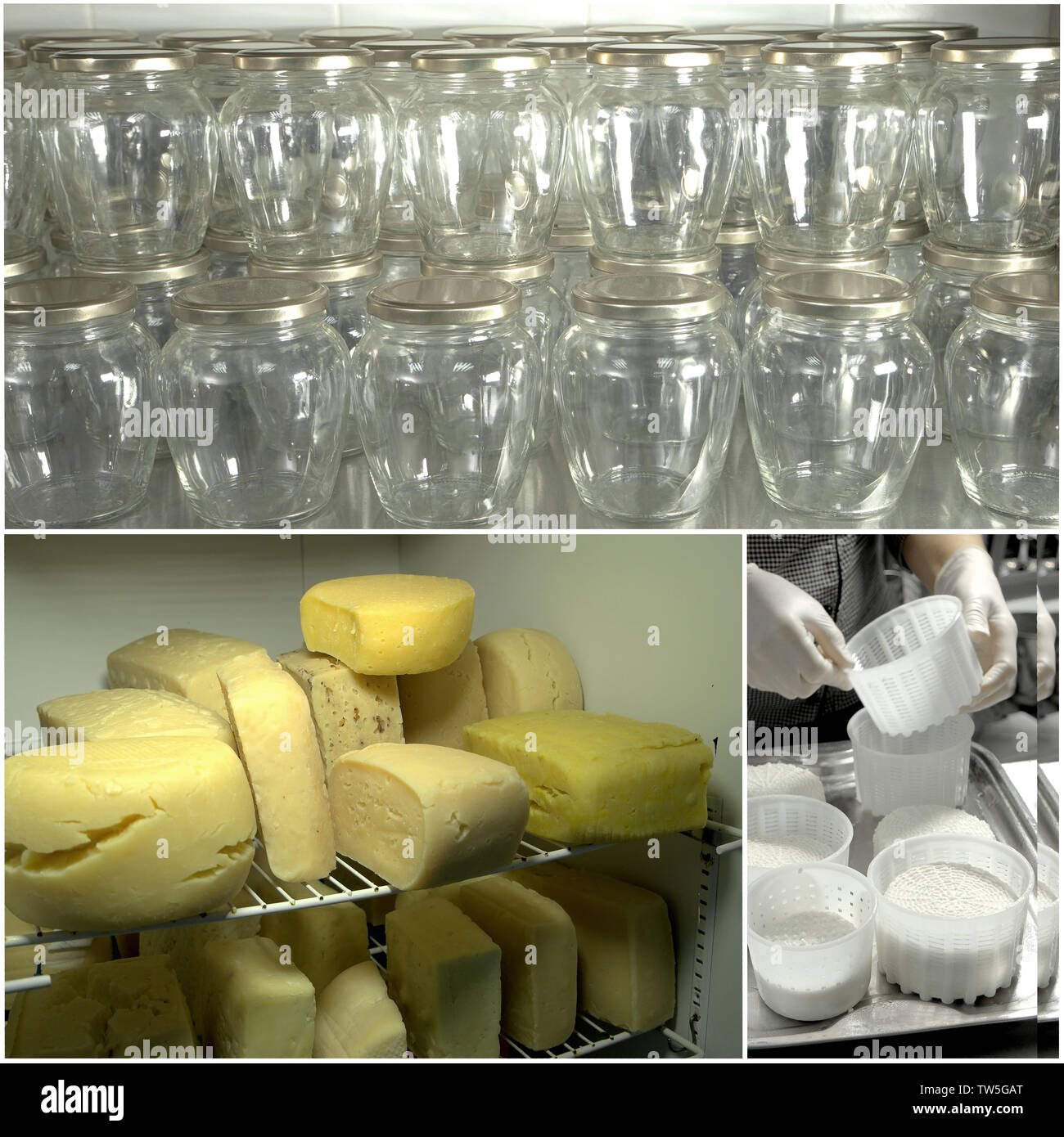 Cheese manufacture collage Stock Photo - Alamy