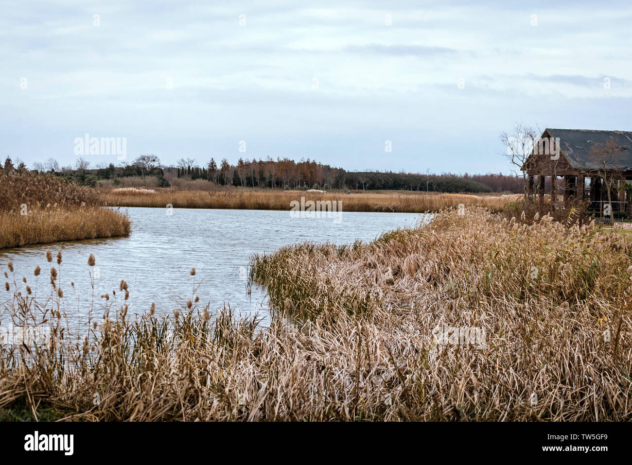 Chongming hi-res stock photography and images - Alamy