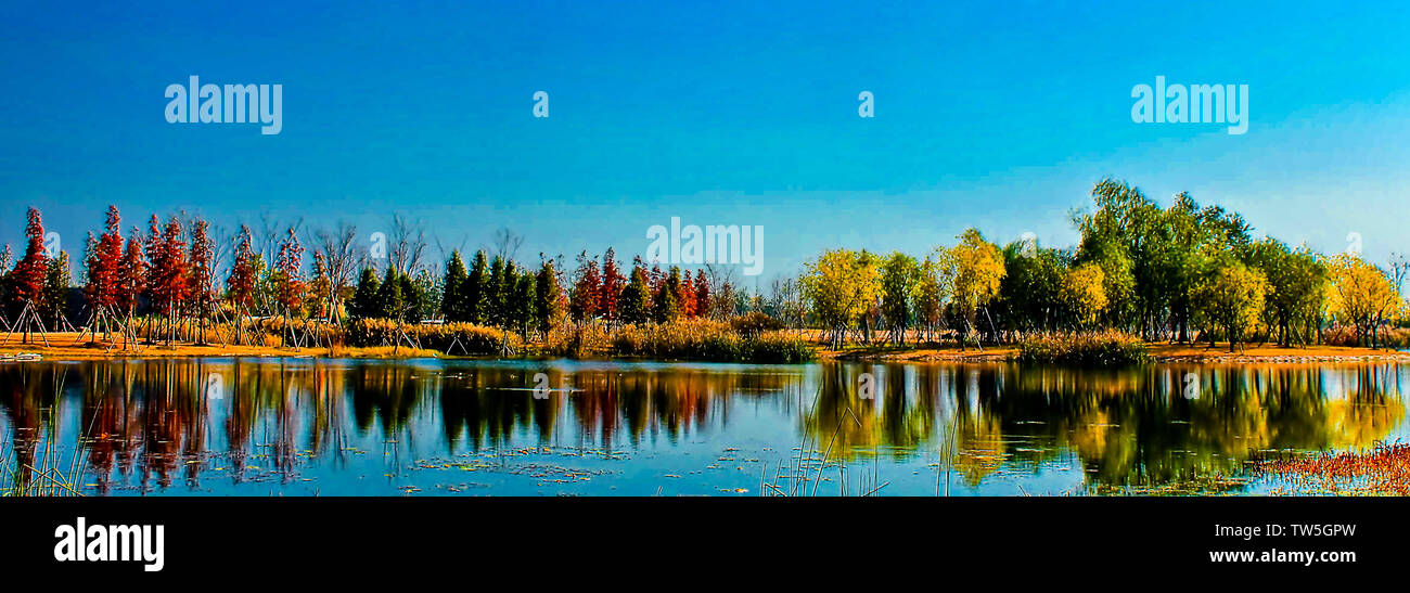 Scenery of Chenshan Botanical Garden in Shanghai Stock Photo - Alamy