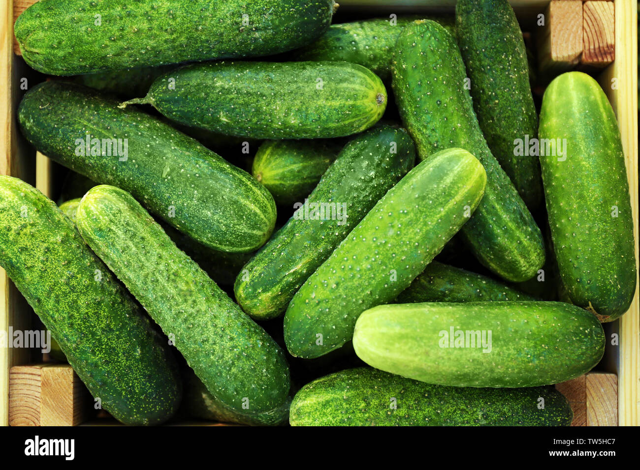 Cucumbers in crate hi-res stock photography and images - Alamy