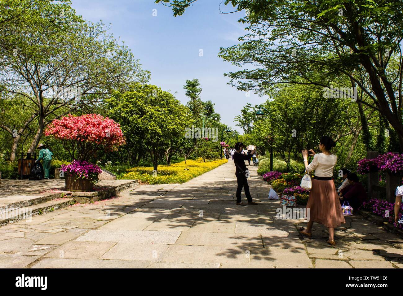Scenery of Xixi Wetland Park in Hangzhou Stock Photo - Alamy