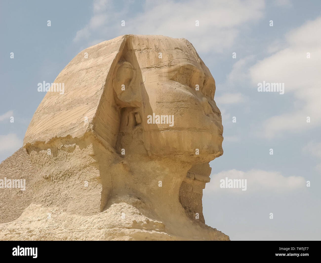 close up of the sphinx at giza near cairo, egypt Stock Photo - Alamy