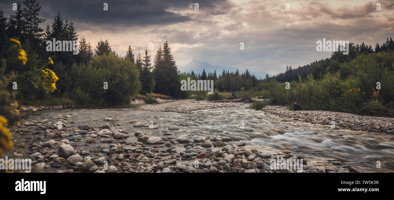 Bela forest hi-res stock photography and images - Alamy