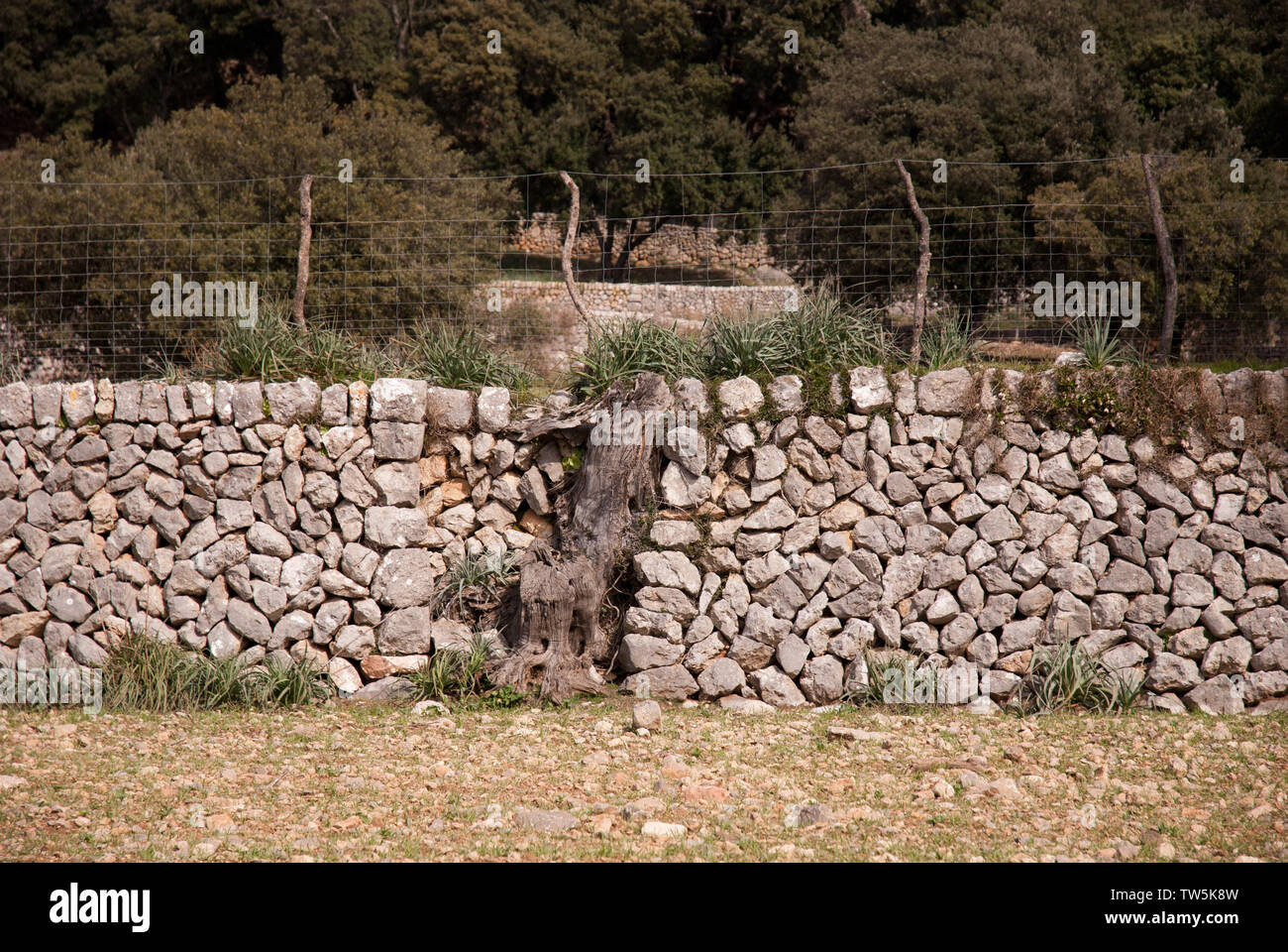 Spain border fence hi-res stock photography and images - Alamy