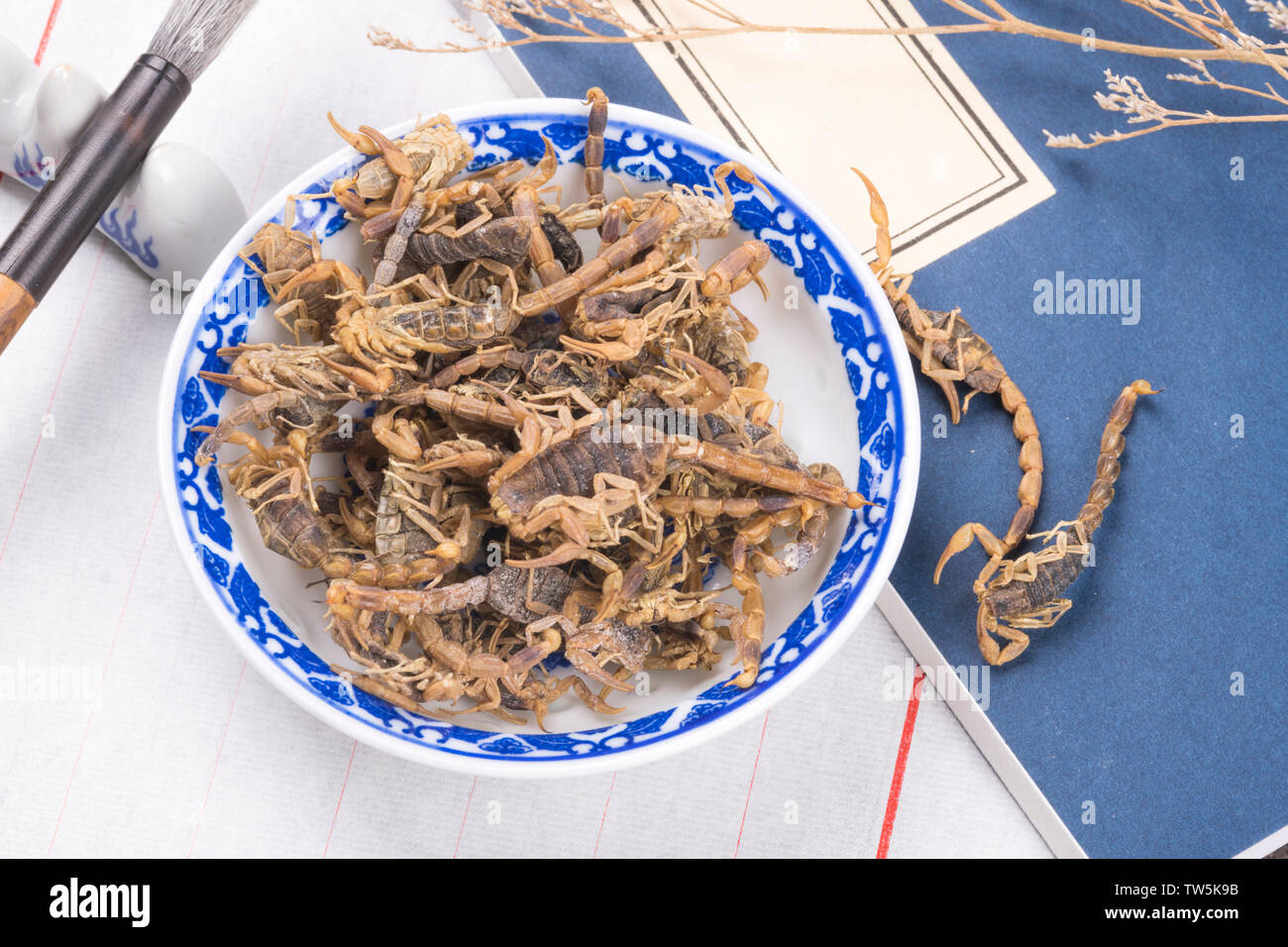 Dry scorpion hi-res stock photography and images - Alamy