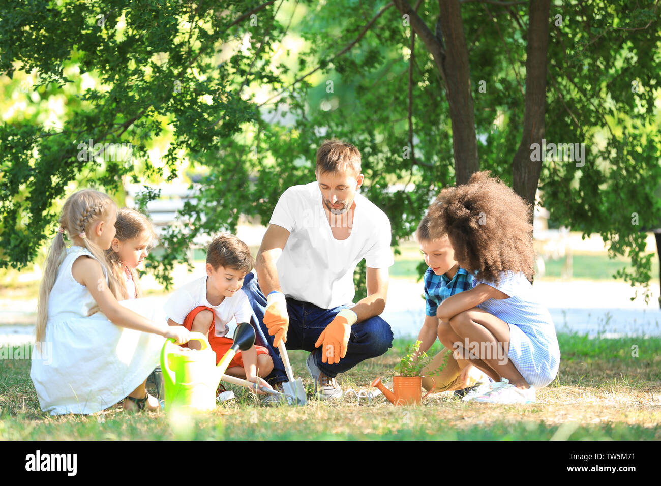 Group of children with teacher planting sapling in park Stock Photo - Alamy