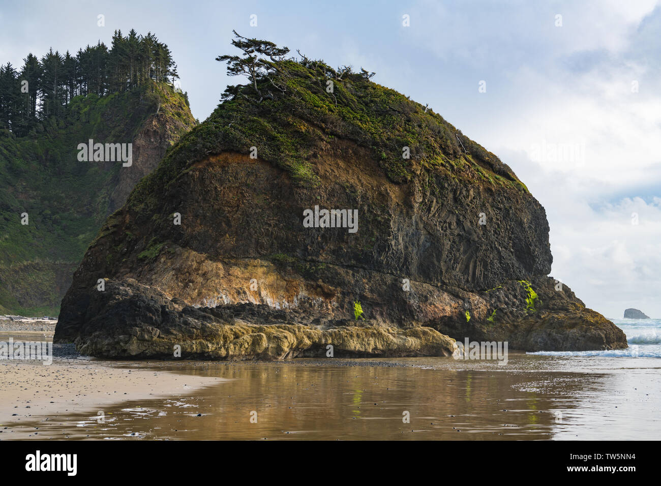 Sea stack rock formation topped with green vegetation and a gnarled ...