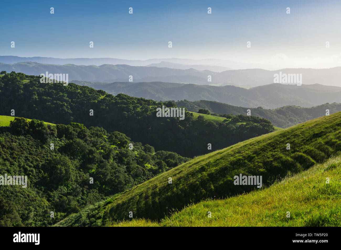 Summer landscape hills meadows hi-res stock photography and images - Alamy