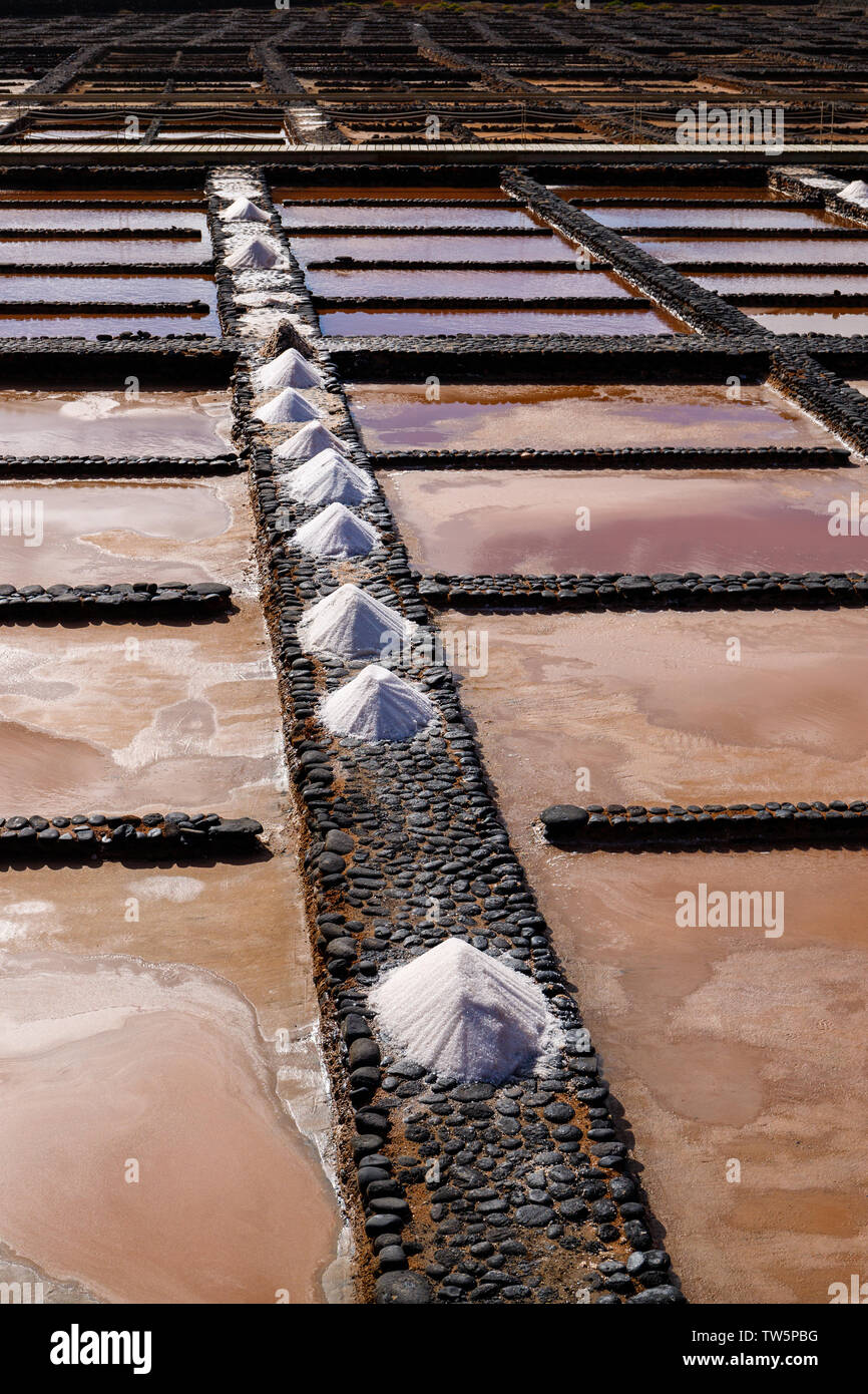 Production of salt from the ocean water in the island of Fuerteventura ...