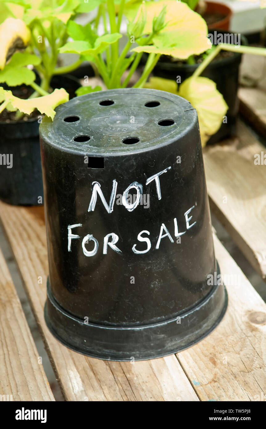 Handwritten sign on a plant pot telling visitors to a garden centre ...
