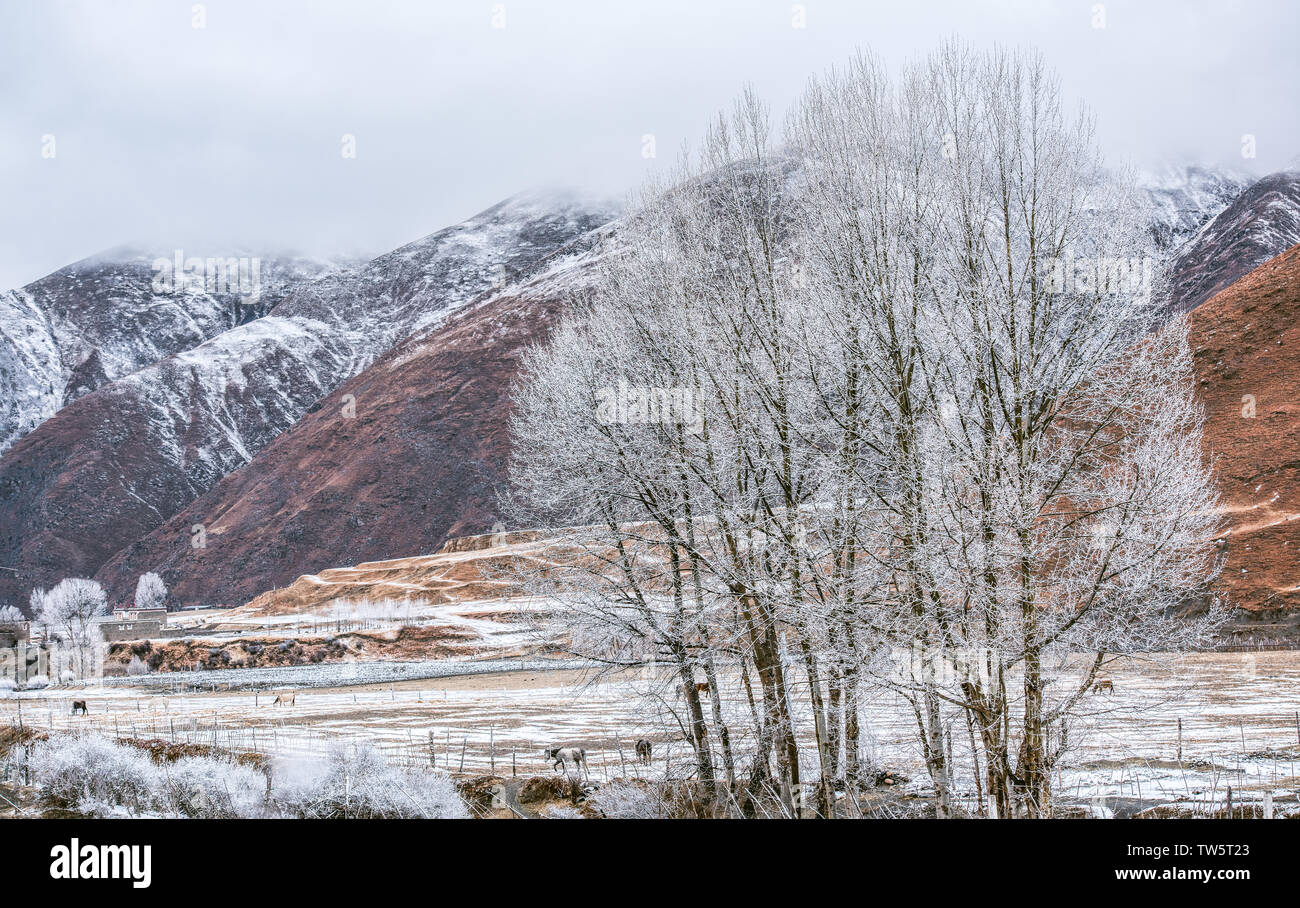Xindu bridge scenery hi-res stock photography and images - Alamy