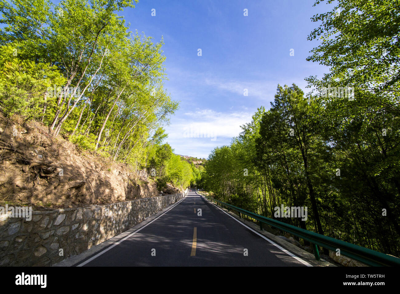 Early morning mountain road Stock Photo - Alamy