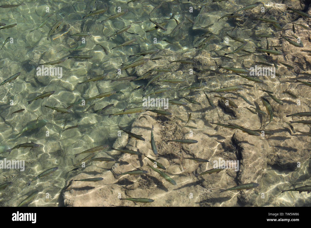 Insane view hi-res stock photography and images - Alamy