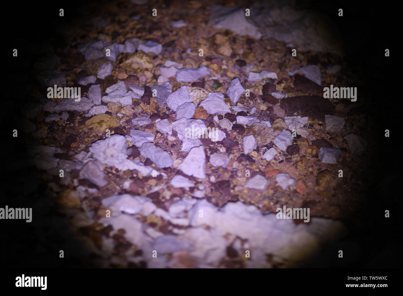 Light of a lamp hi-res stock photography and images - Alamy