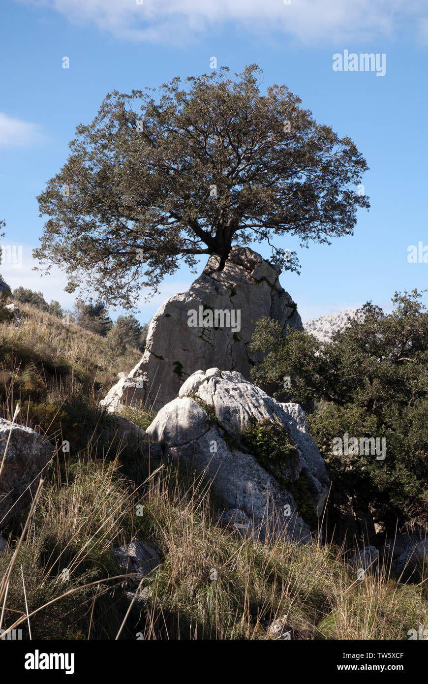 Task orientation hi-res stock photography and images - Alamy