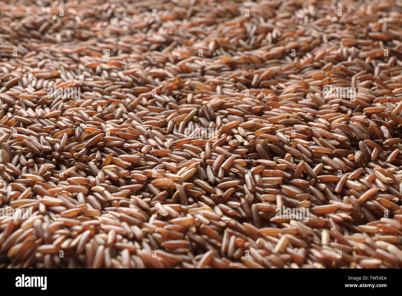 Raw red rice, closeup Stock Photo - Alamy