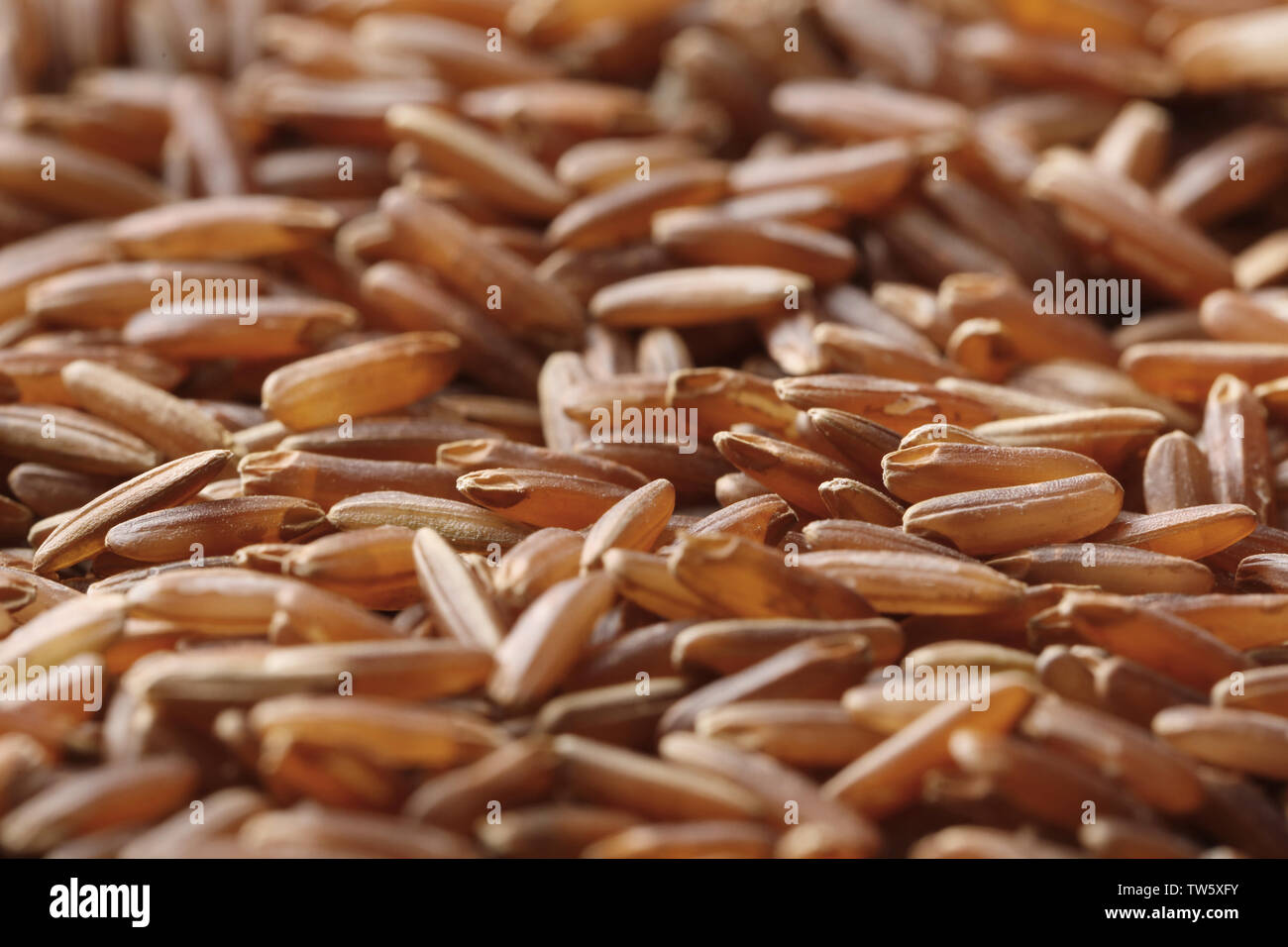 Raw red rice, closeup Stock Photo - Alamy