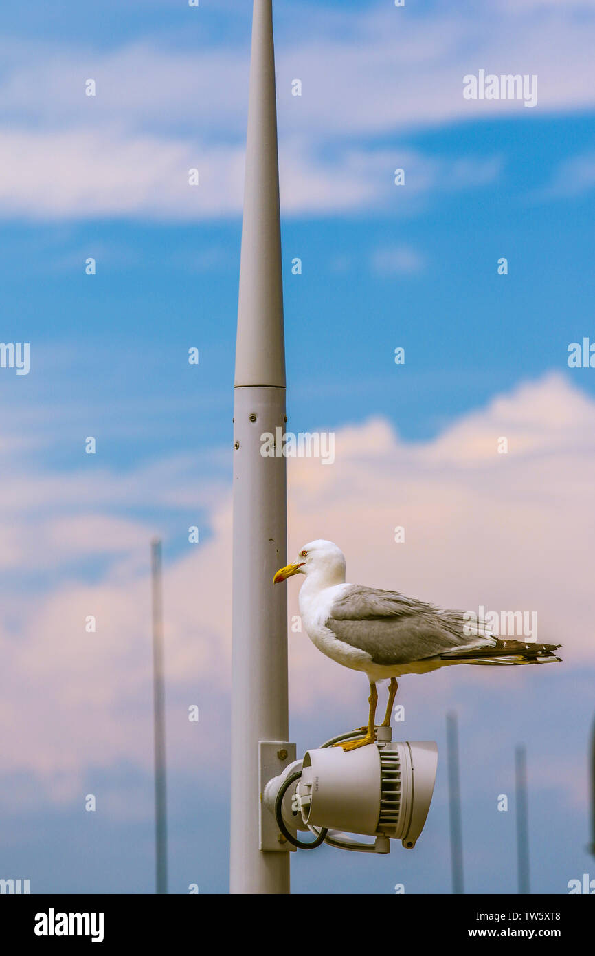 Philips ad hi-res stock photography and images - Alamy