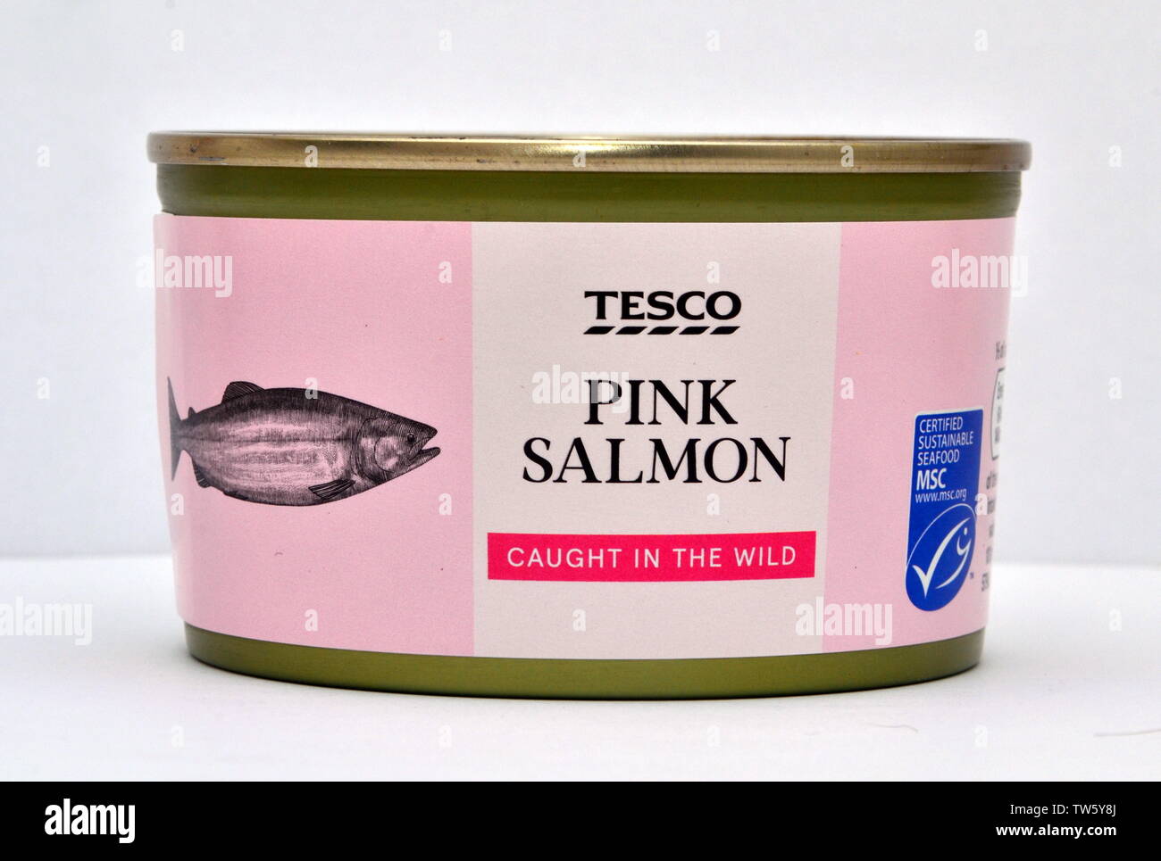 Pink salmon tin hi-res stock photography and images - Alamy