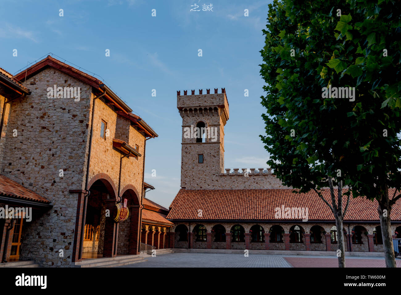 Ancient high rise building gothic architecture palace house hi-res ...