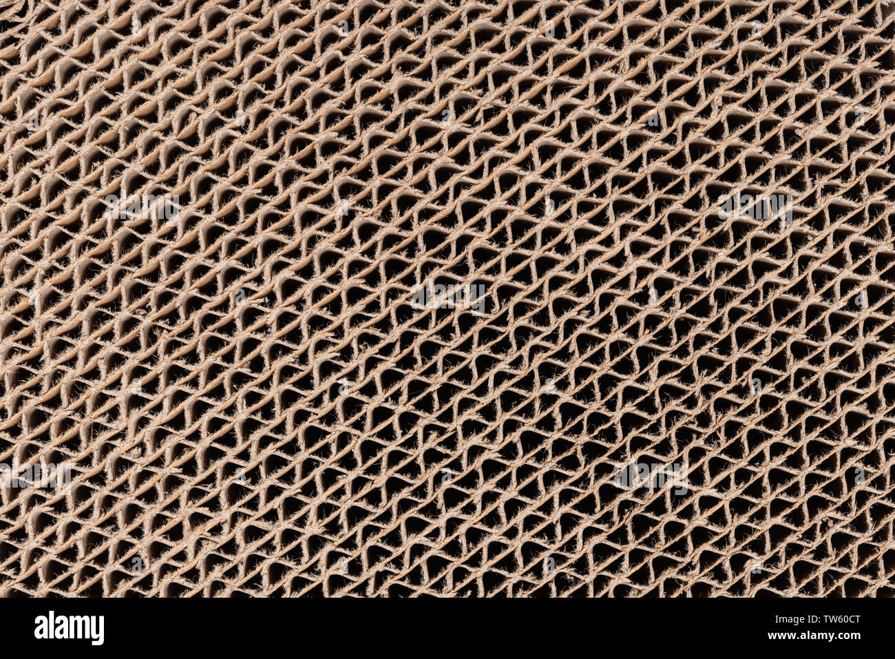 Cross Section Of Cardboard Corrugated Pattern As Baskground And Texture